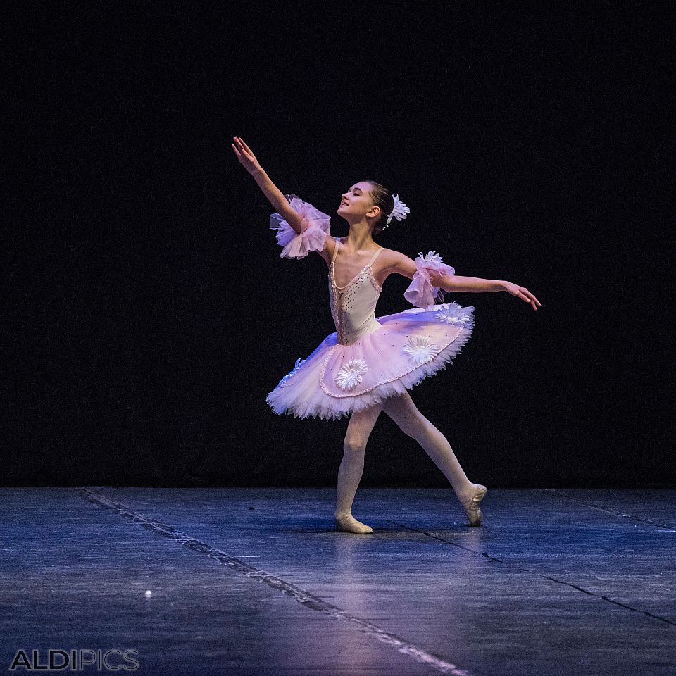 Dance World Cup - Plovdiv 2016 - От улицата - dse_18038.jpg - снимки от ...